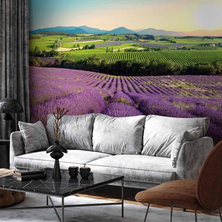 Fototapeter lavendel, lavendel fototapeter, fototapet lavendel ...